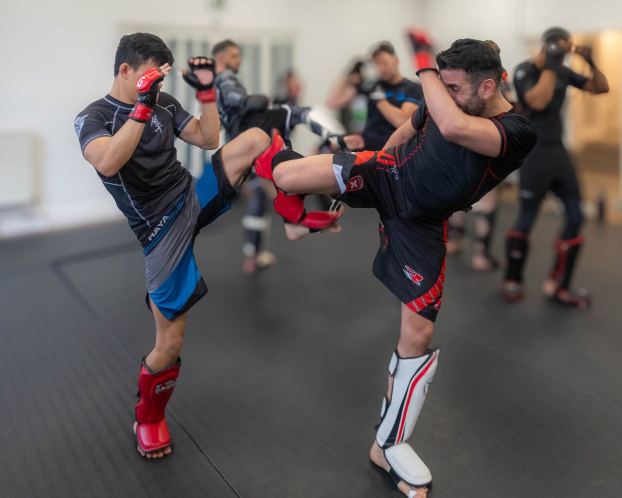 MMA - Canary Warf Jiu-Jitsu